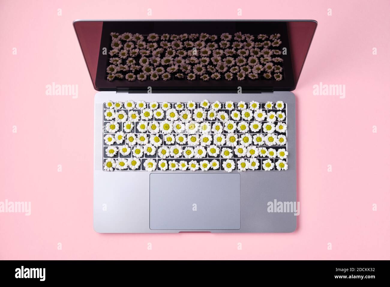 Spring Flowers Keyboard. Laptop with Flowers over pink background ...