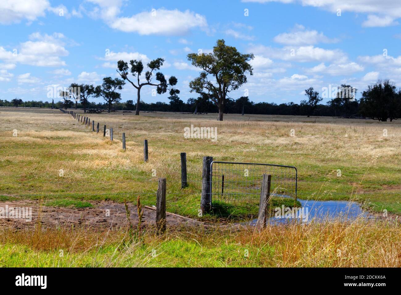 Rural fenceline hi-res stock photography and images - Alamy