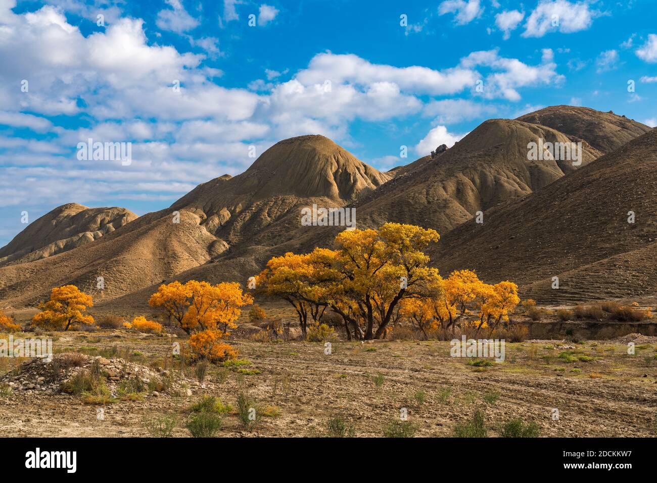Highland oasis hi-res stock photography and images - Alamy