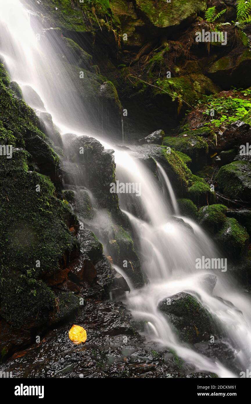 Nature - beautiful small waterfall on the creek. Natural colorful ...