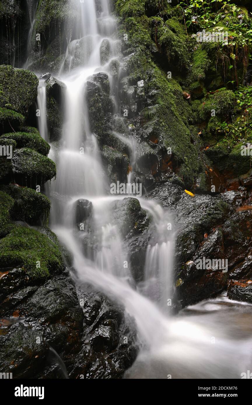 Nature - beautiful small waterfall on the creek. Natural colorful ...