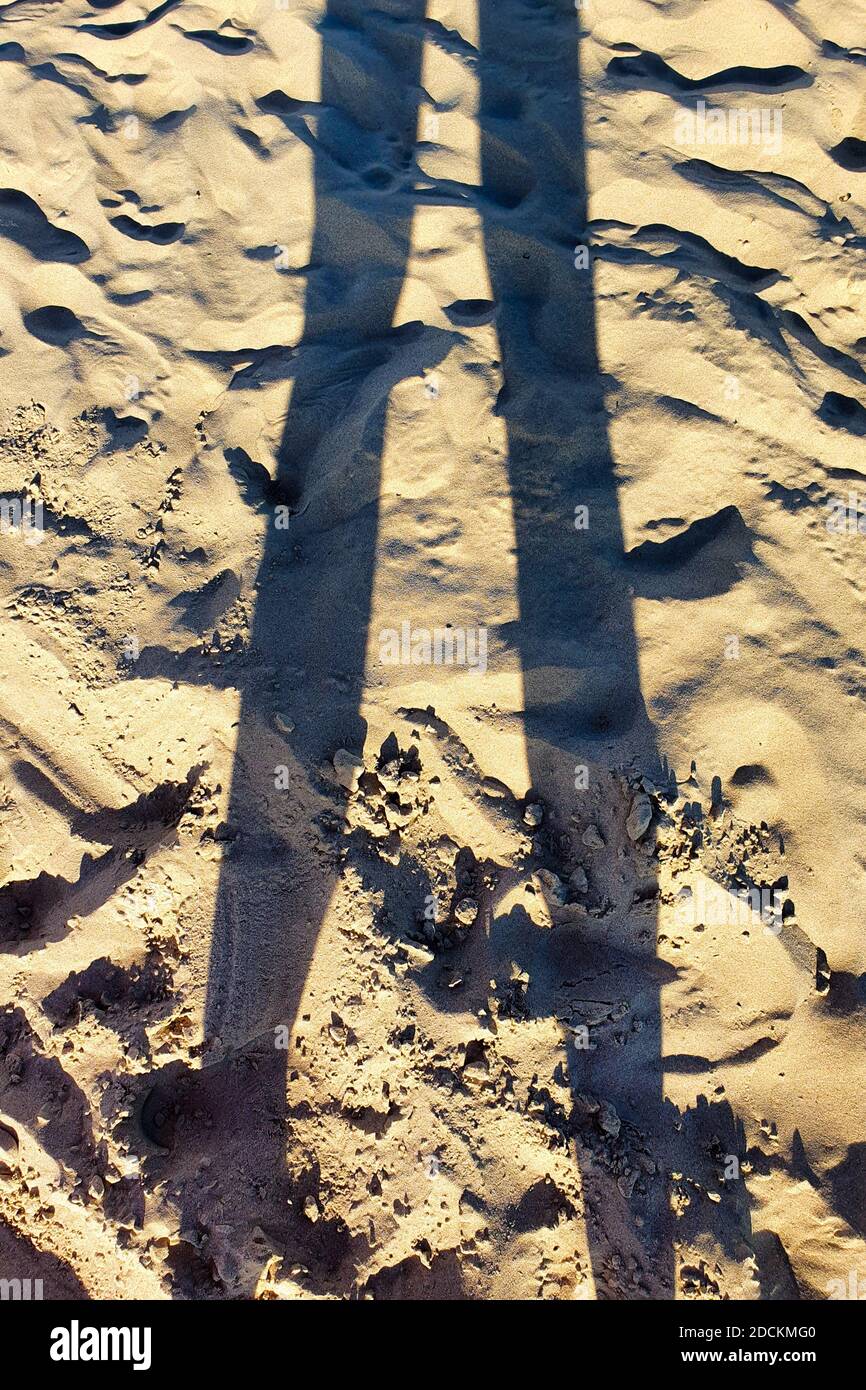 Female legs shadow on clean beach sand. Vertical photo, lifestyle, top ...