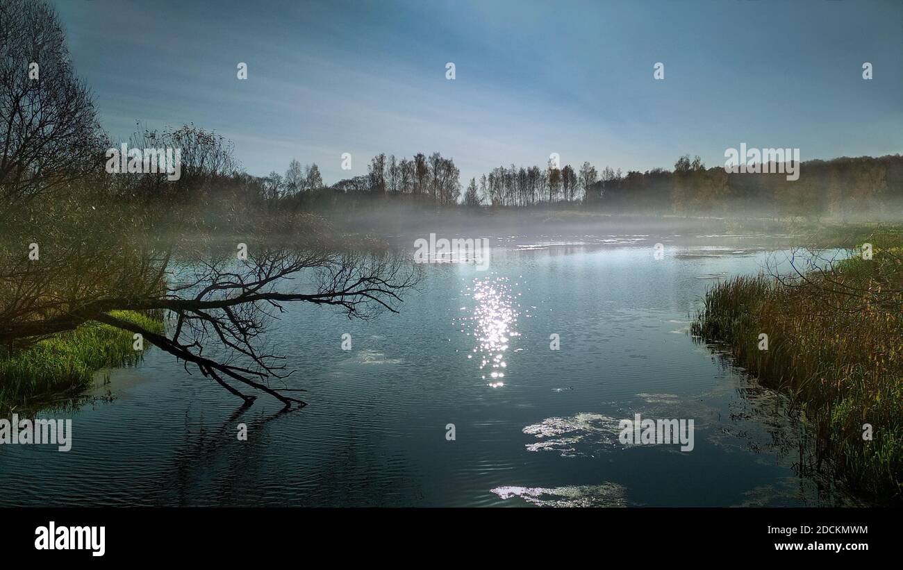 Reflections day hi-res stock photography and images - Alamy