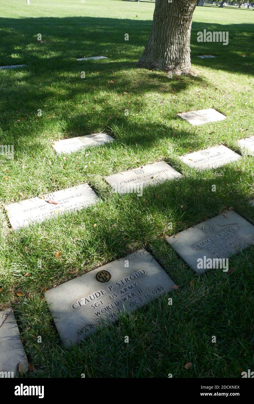 Los Angeles, California, USA 16th November 2020 A general view of ...