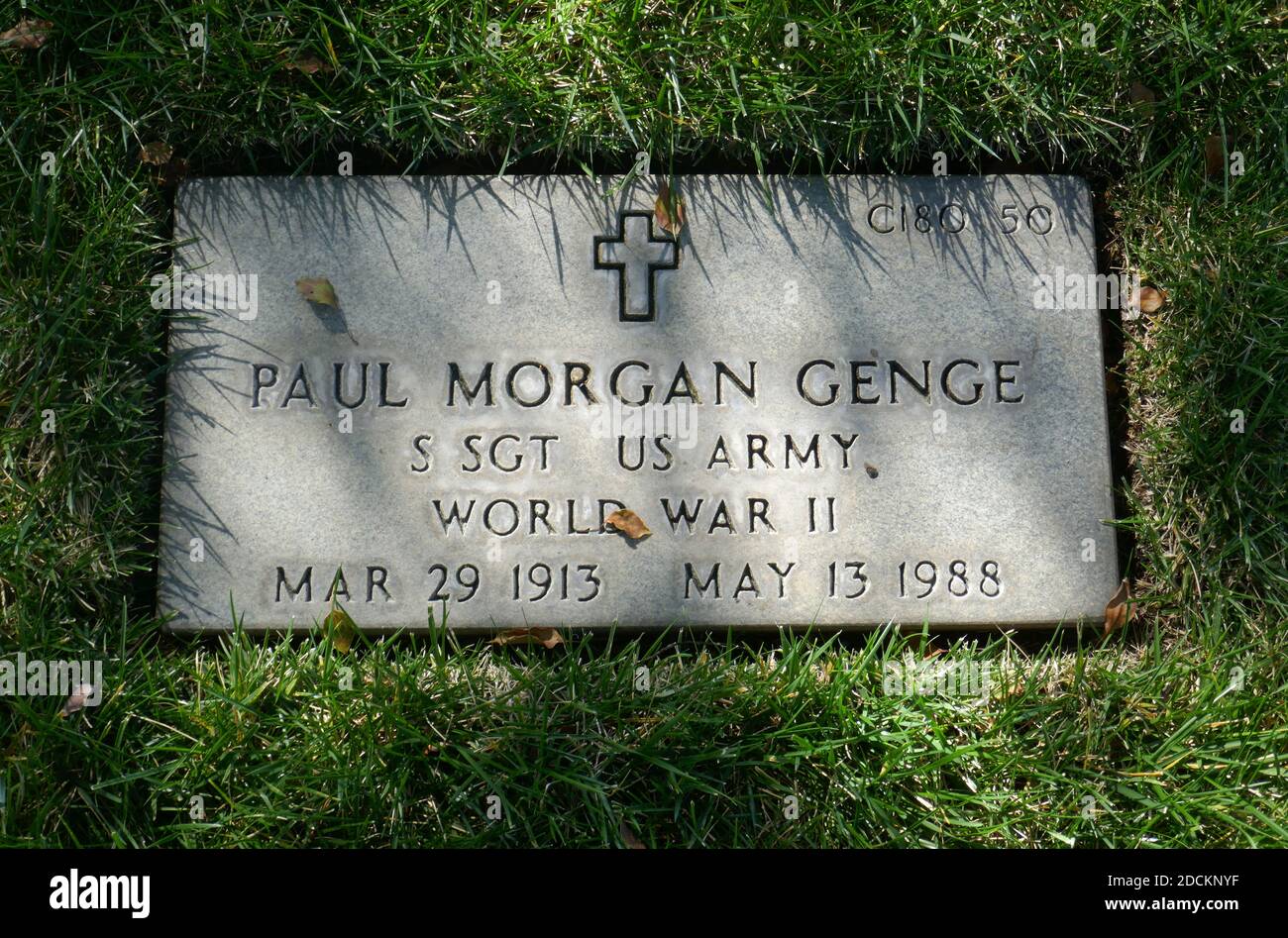 Los Angeles, California, USA 16th November 2020 A general view of ...