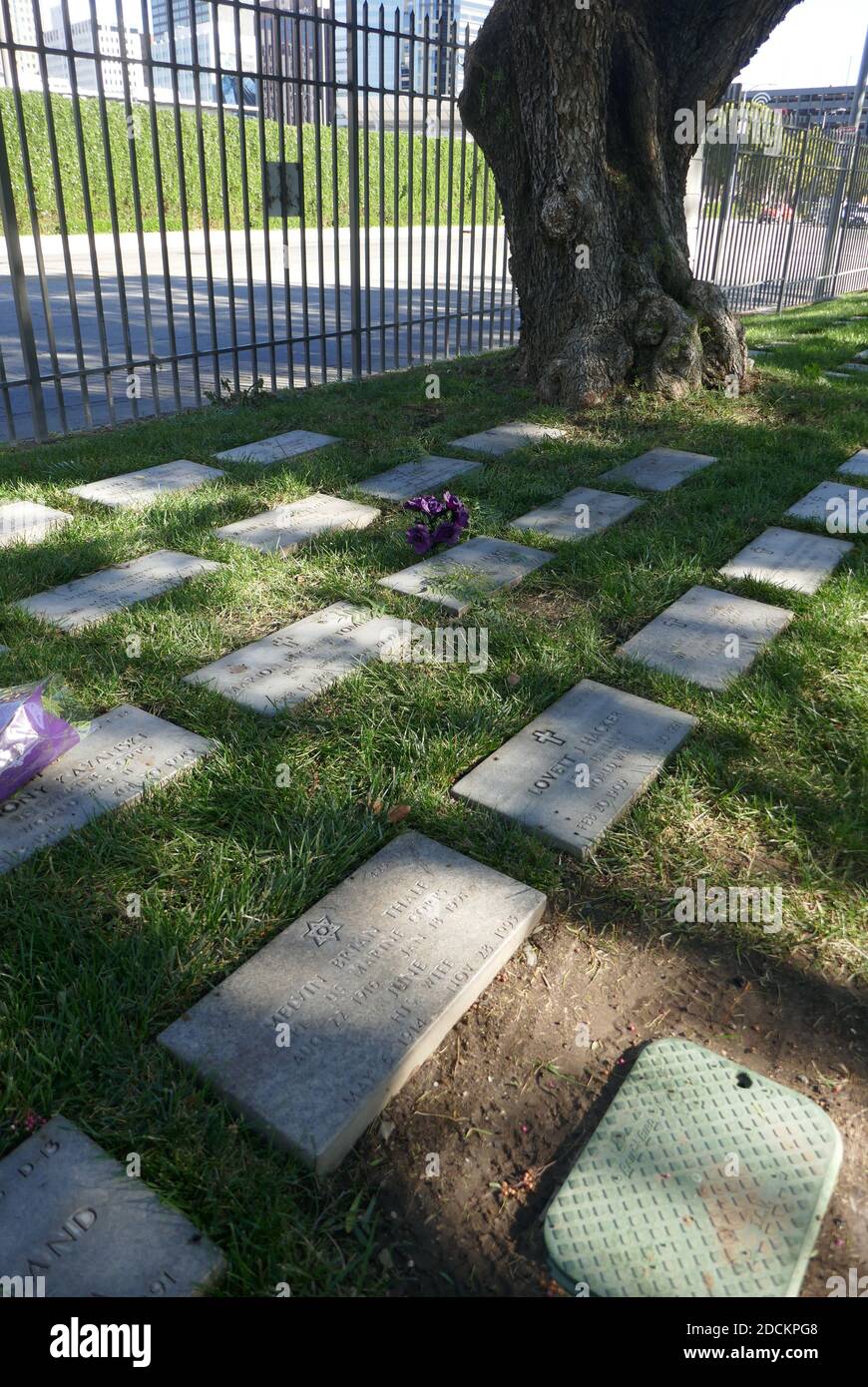 Melvin brian thale hi-res stock photography and images - Alamy