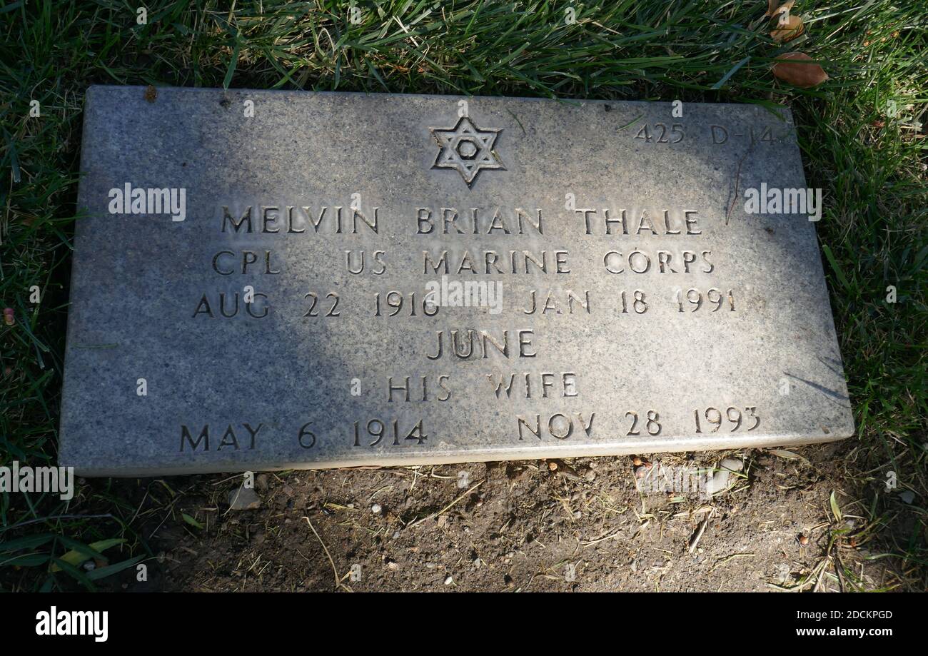 Los Angeles, California, USA 16th November 2020 A general view of ...