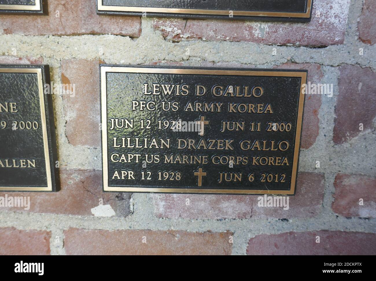 Los Angeles, California, USA 16th November 2020 A general view of ...