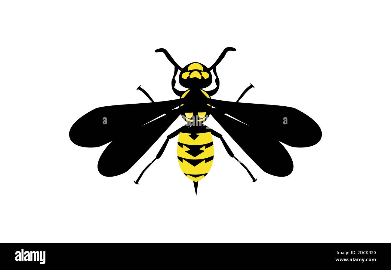 Yellow Jacket Logo Design