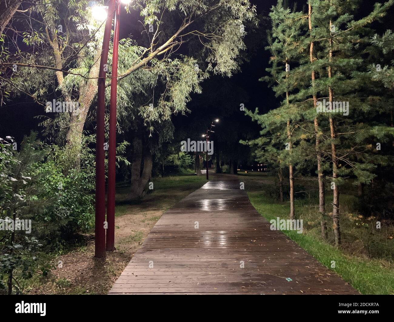Path through park at night Stock Photo - Alamy
