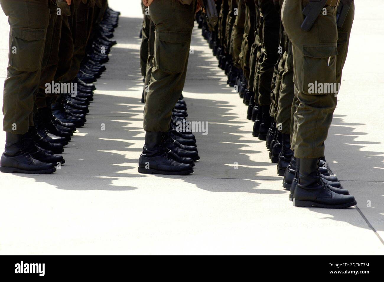 uniformed troop of soldiers in basic training standing still in line ...