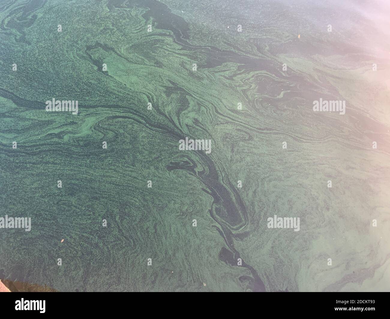Green colored water. Environment pollution concept Stock Photo - Alamy