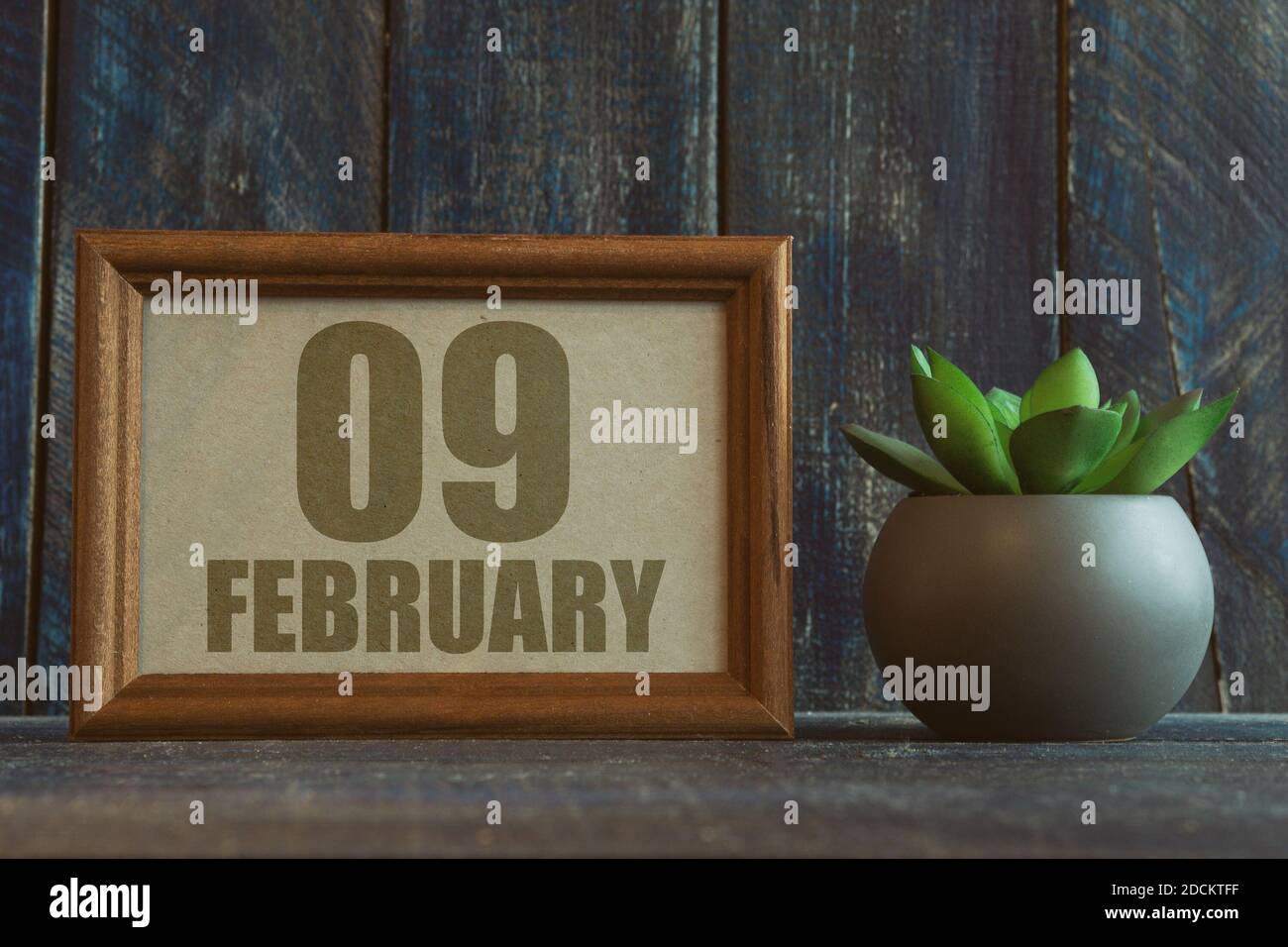 february 9th. Day 9 of month, date in frame next to succulent on wooden ...