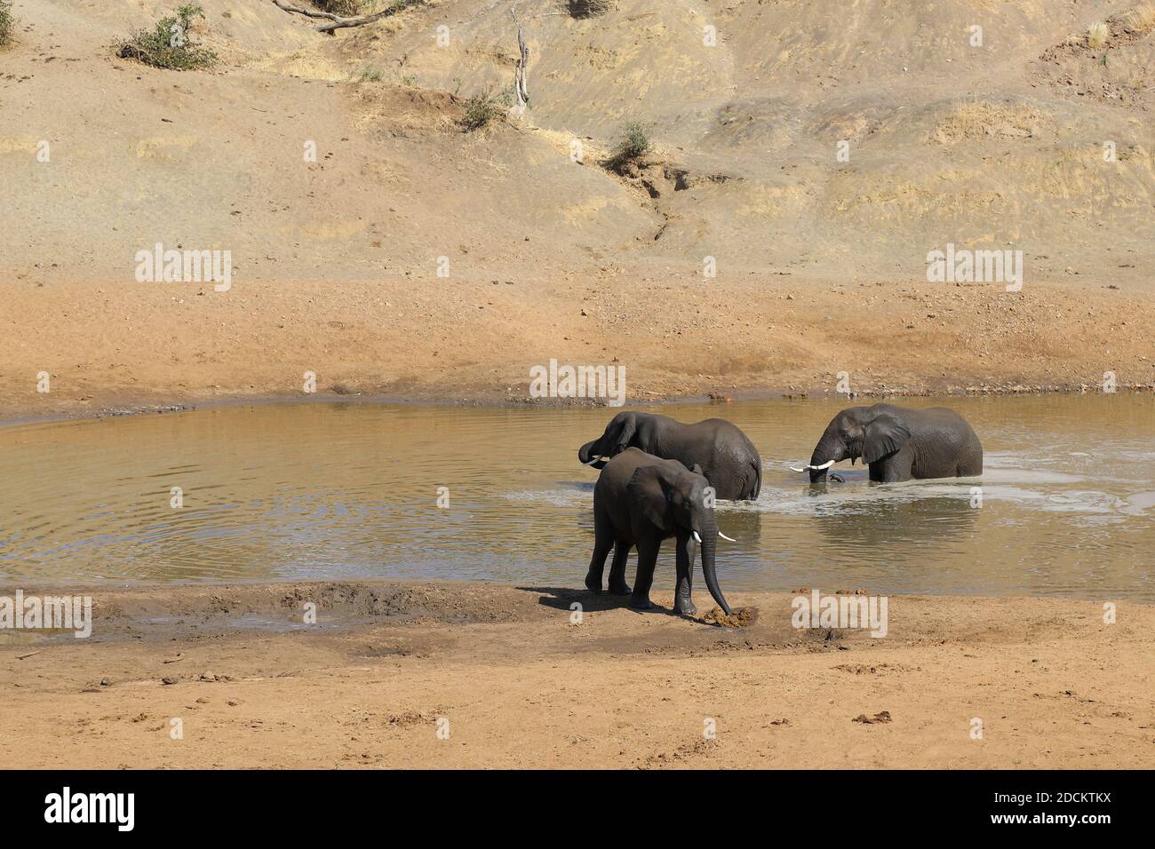 Mphongolo River High Resolution Stock Photography and Images - Alamy