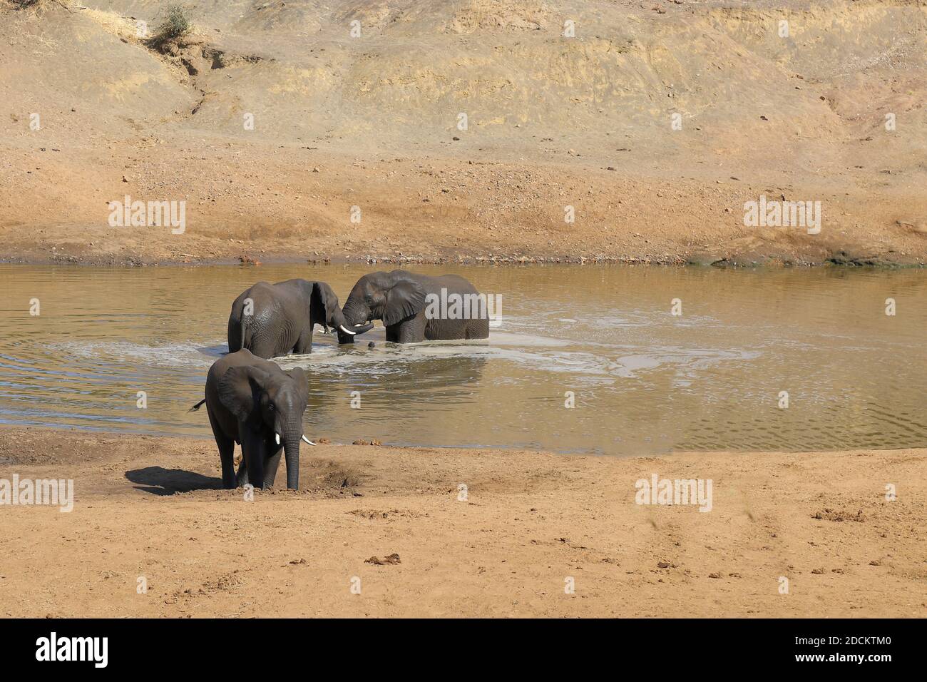 Mphongolo River High Resolution Stock Photography and Images - Alamy
