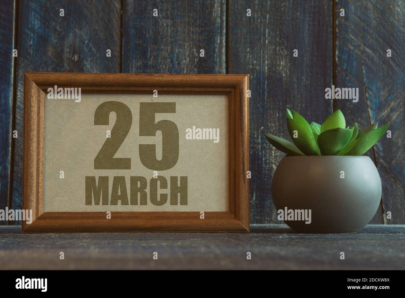 march 25th. Day 25 of month, date in frame next to succulent on wooden ...