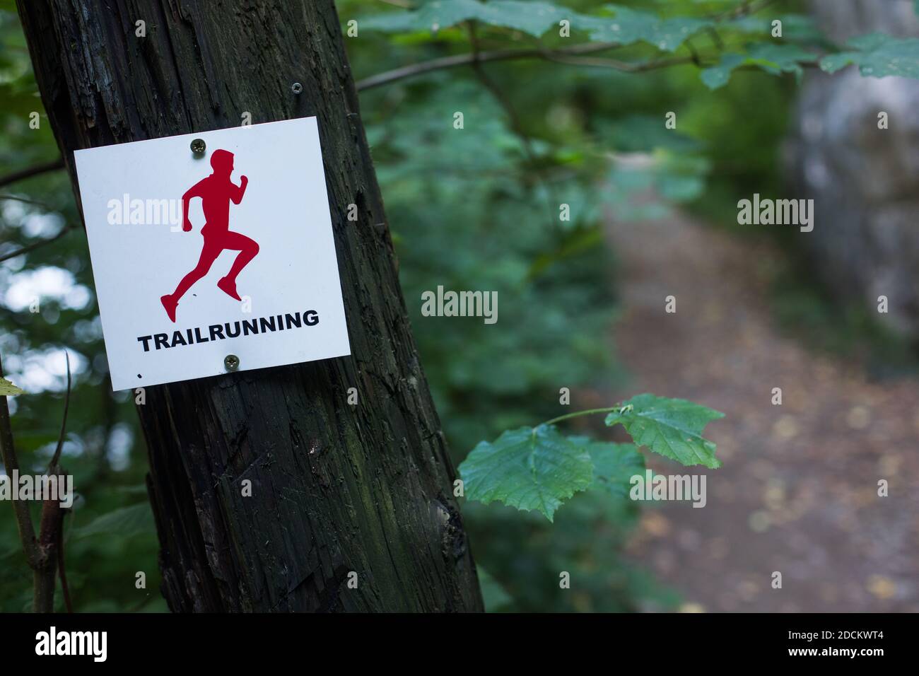 Image of a trail running track mark on a tree Stock Photo - Alamy