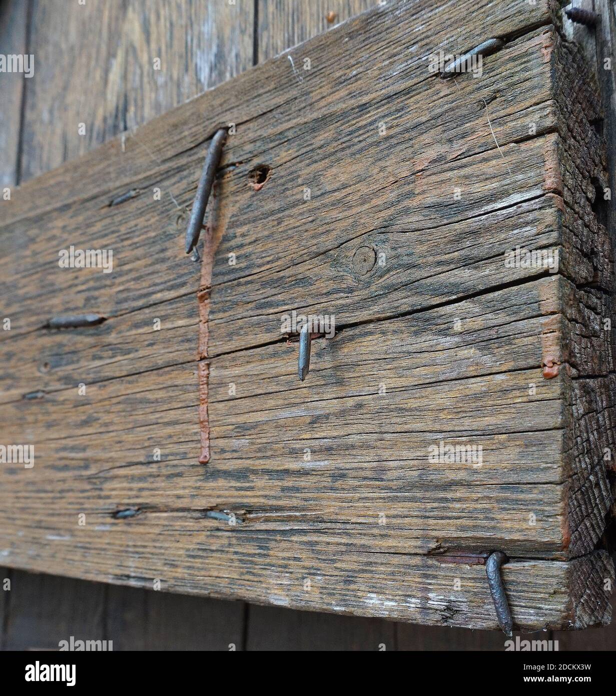 An old unpainted wooden board with some nails sticking out. The wood is ...