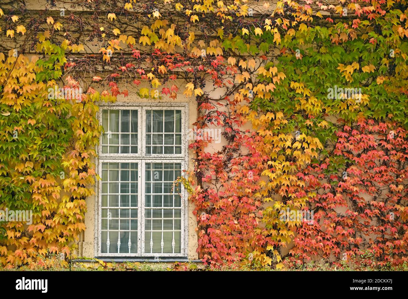 Window wall rustic background hi-res stock photography and images - Alamy