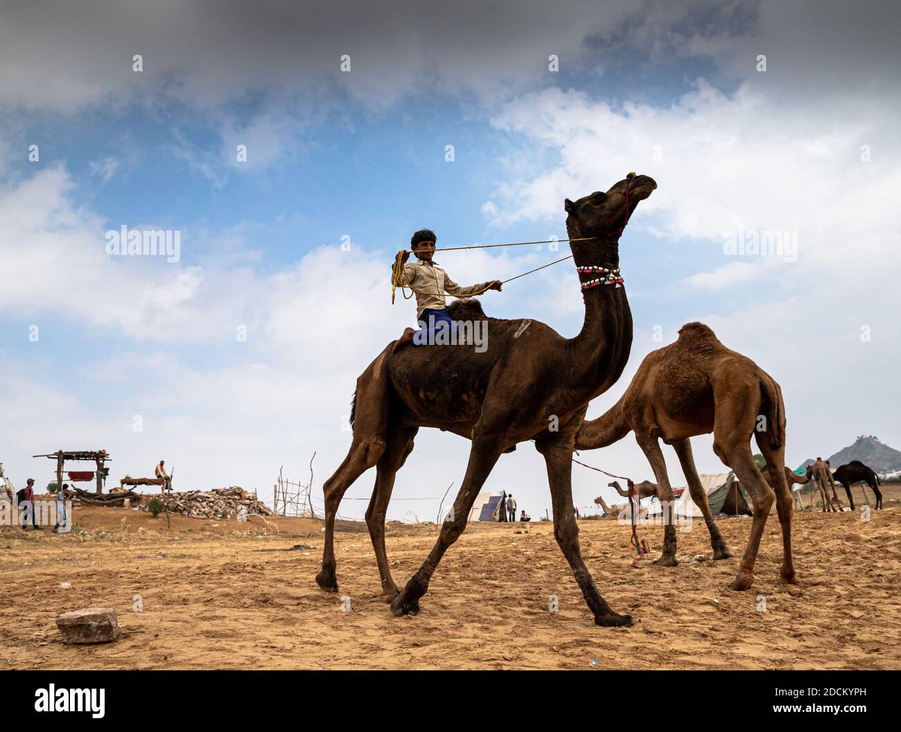 Camel rider hi-res stock photography and images - Alamy