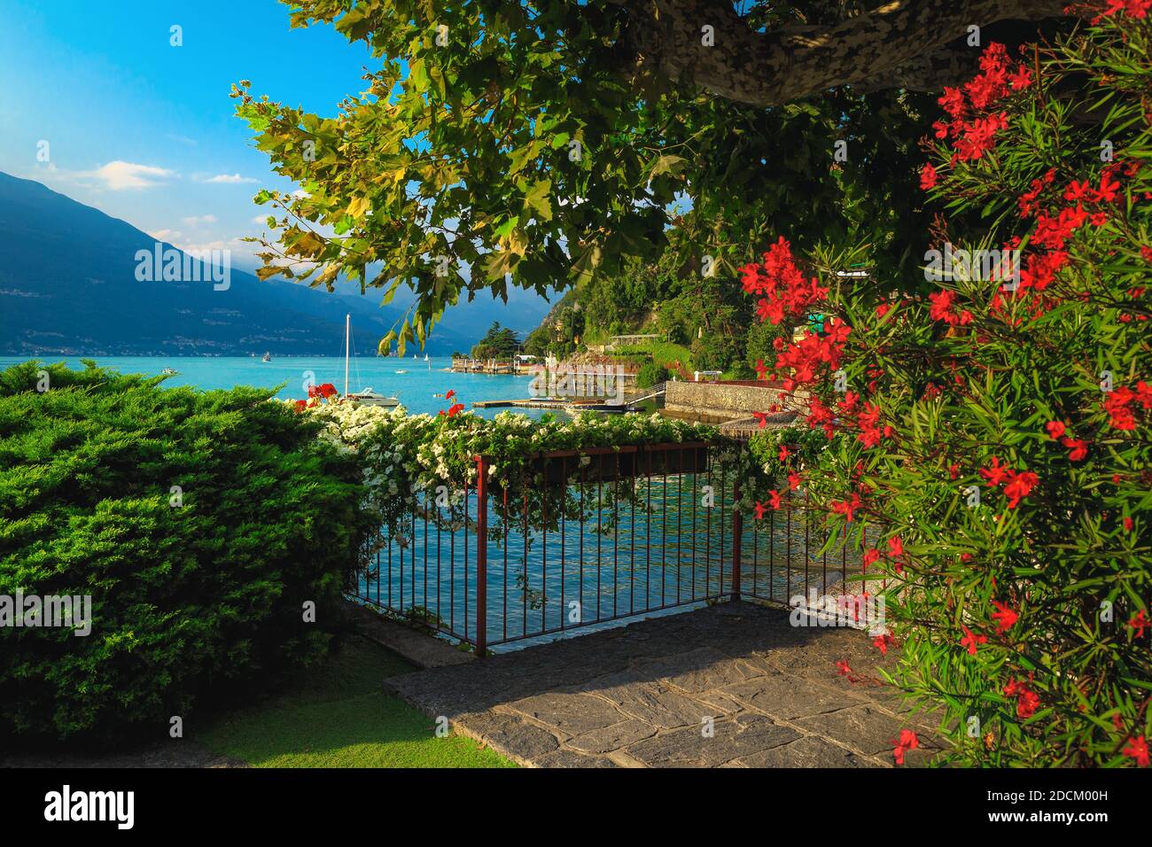 Beautiful flowery terrace on the shore of the lake Como and fantastic ...