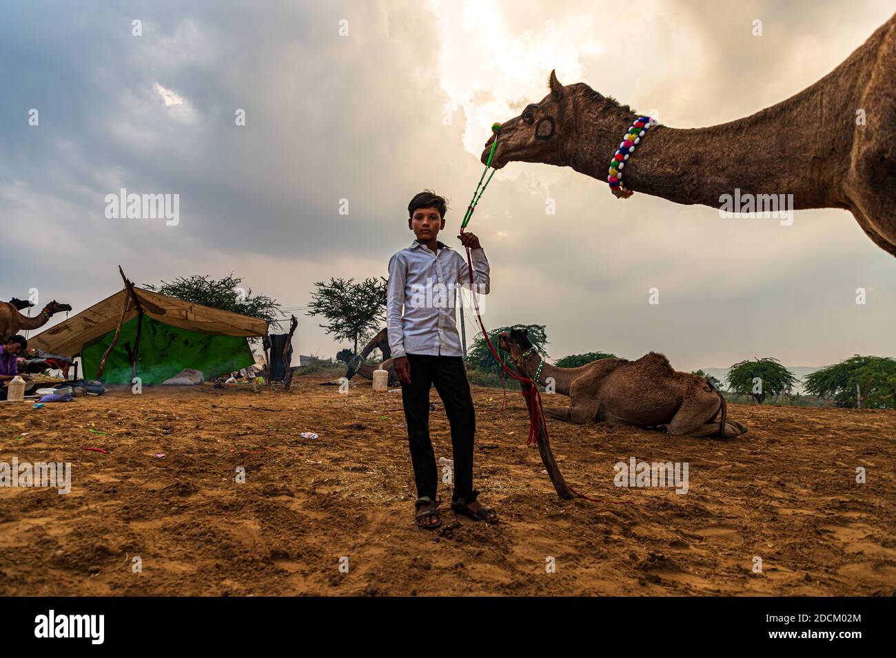 Thar desert animals hi-res stock photography and images - Alamy