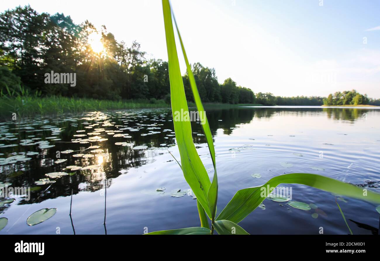 Scenic view to landscape with lake in Latvia, Latgale, East Europe ...