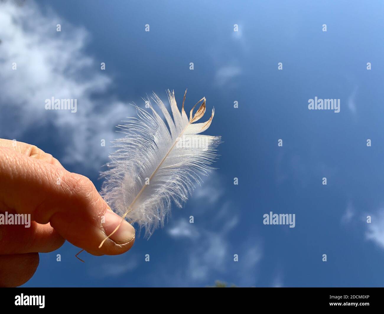 Hand holding a feather against blue sky Stock Photo - Alamy