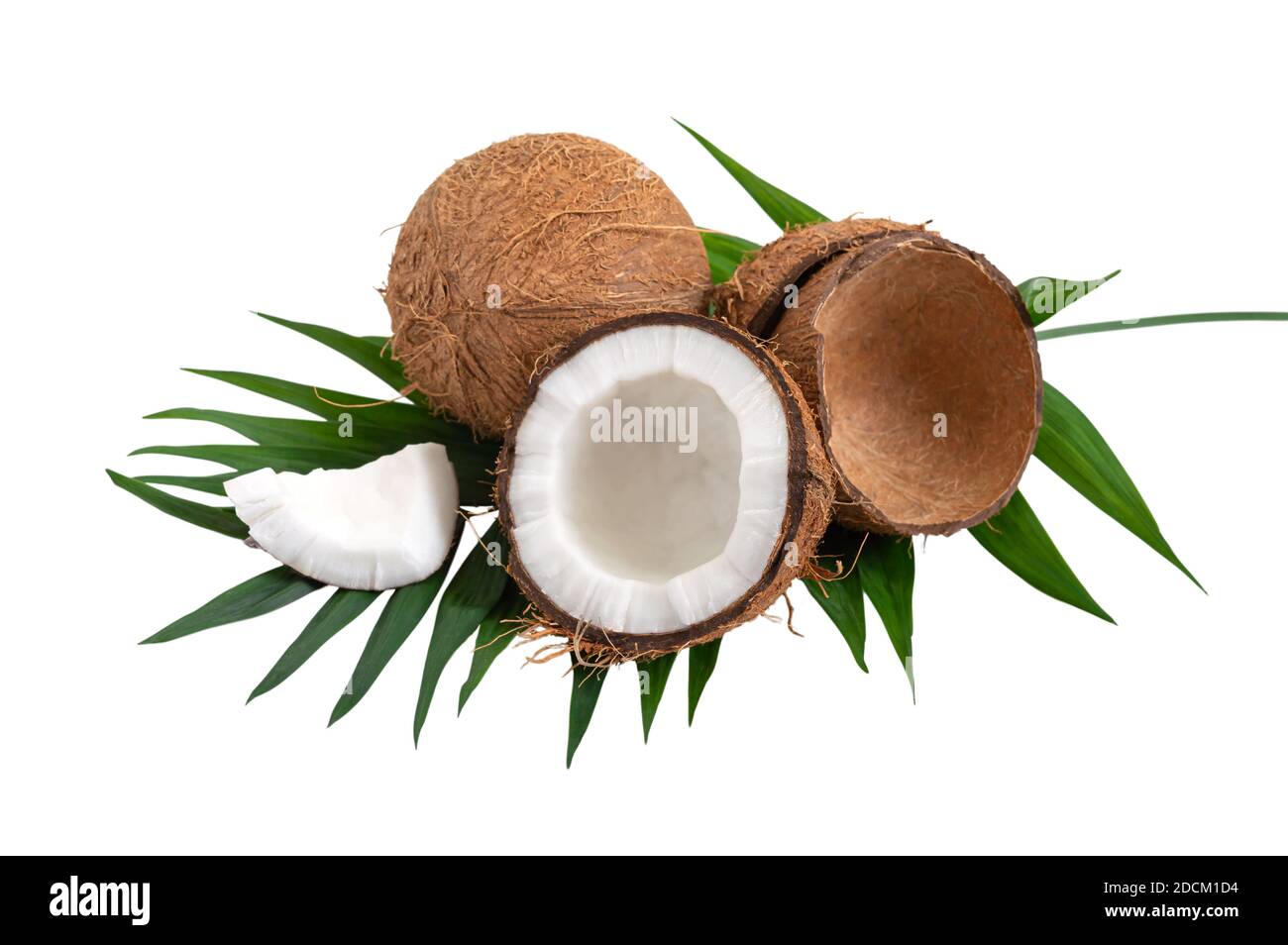 Coconut on a white background, isolated. Whole coconut, halves, shells ...