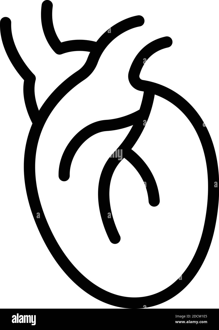 Human heart icon. Outline human heart vector icon for web design ...