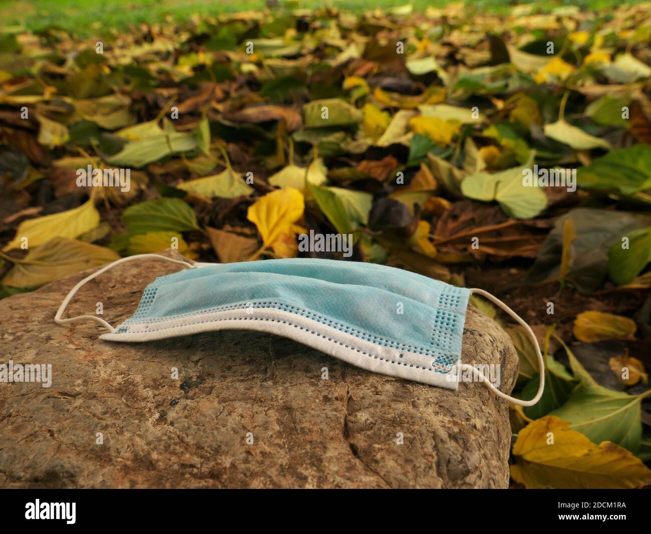 Mask thrown in nature on a rock in the middle of autumn leaves Stock ...