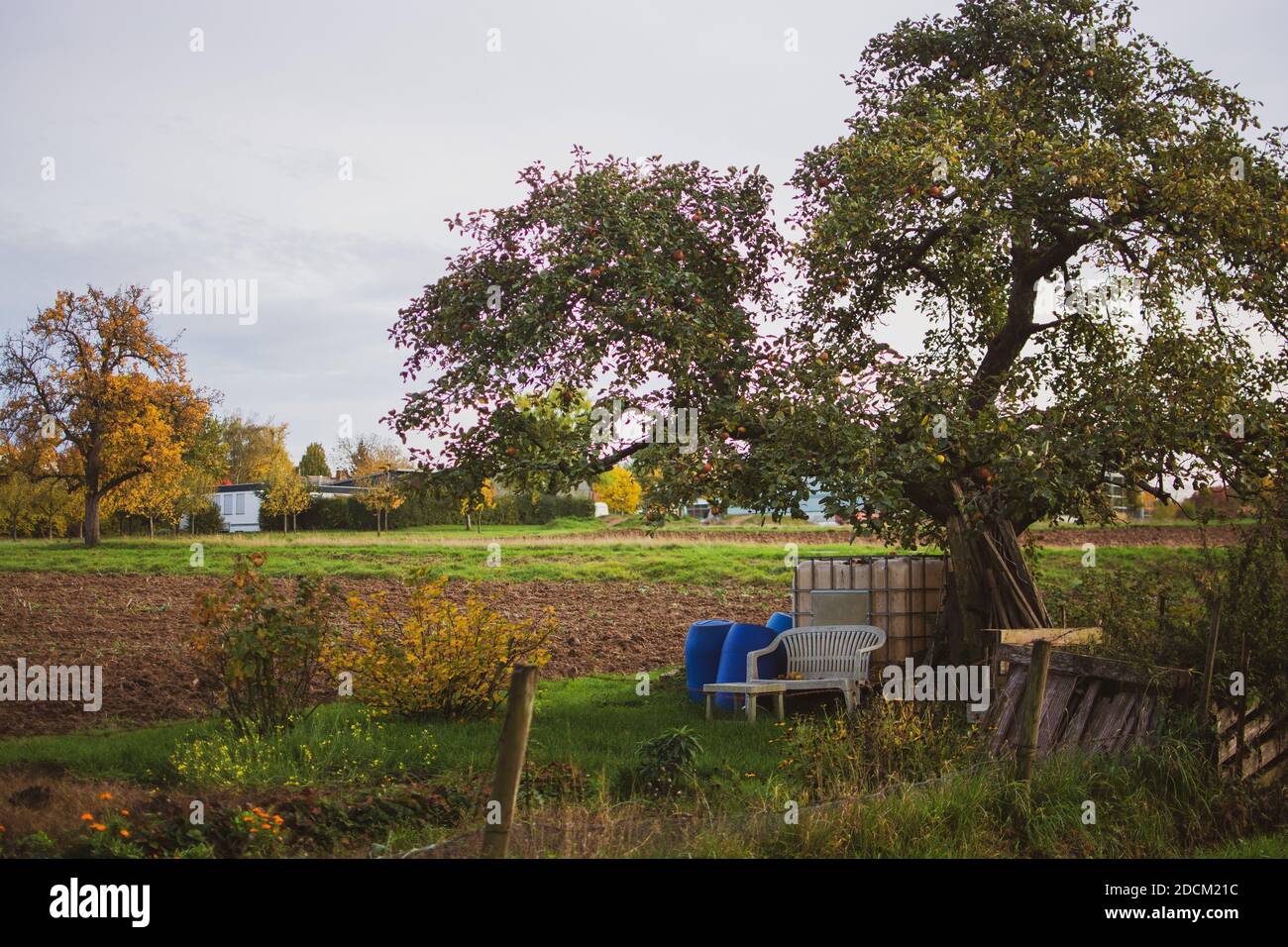 white bench under a tree in Freudental, South of Germany Stock Photo ...