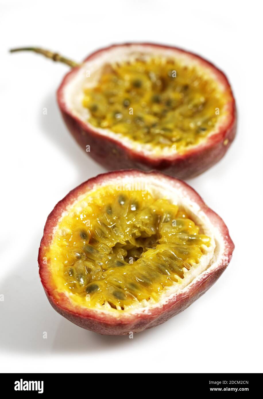 PASSION FRUIT passiflora edulis AGAINST WHITE BACKGROUND Stock Photo ...
