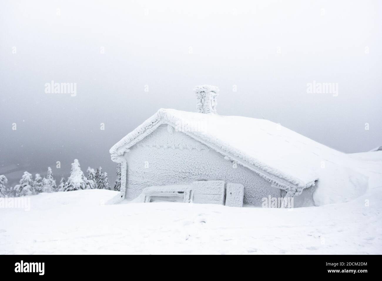 Cool snow hi-res stock photography and images - Alamy