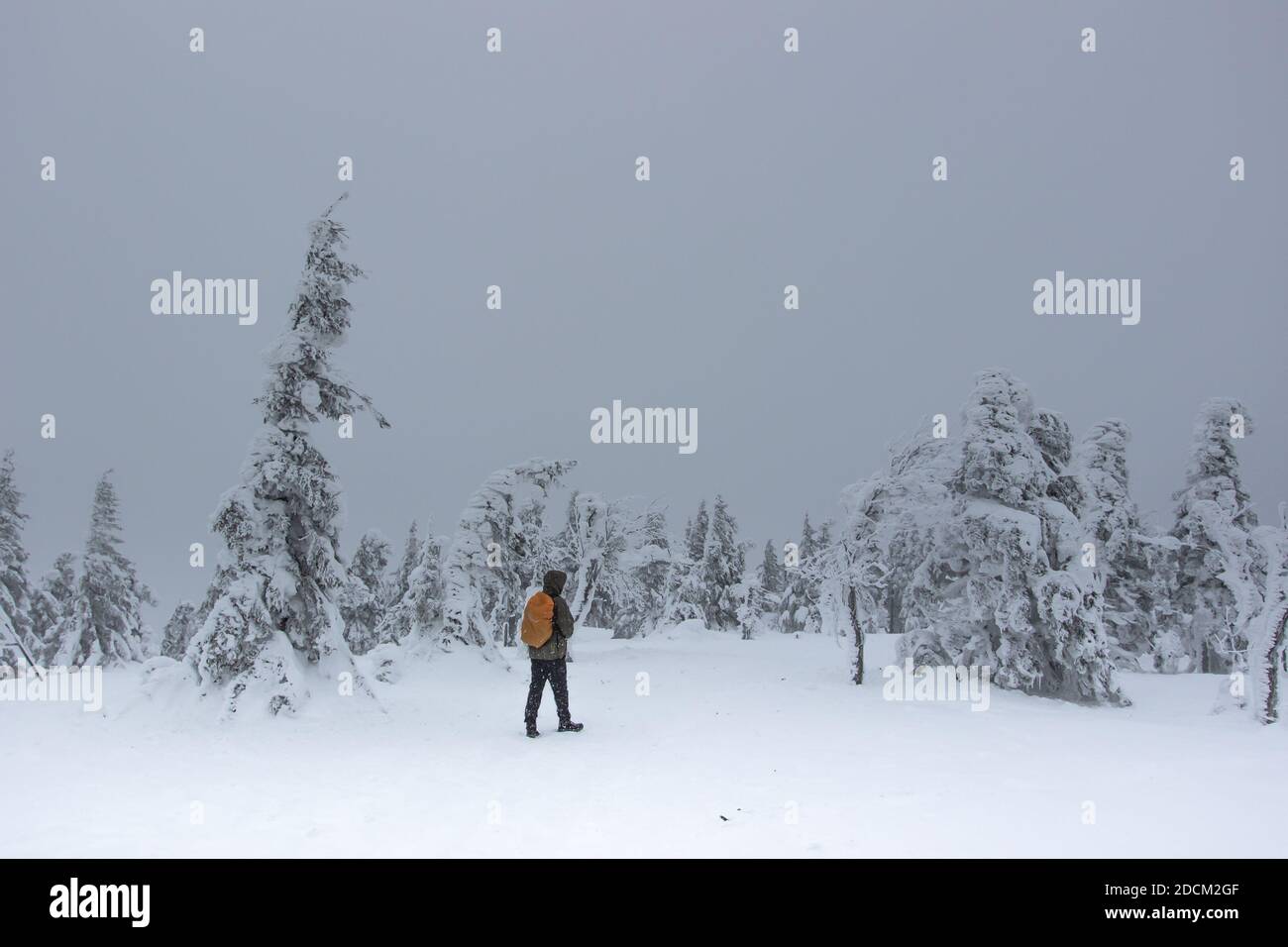 Solo backpacker walking in frozen snowy countryside.Winter panorama ...
