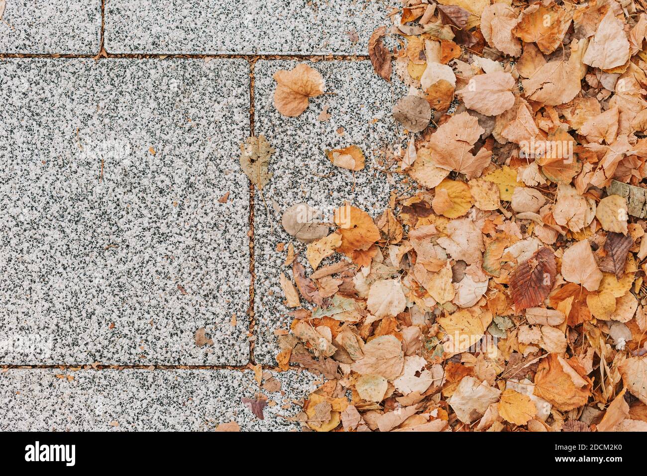 Grey stone pavement texture. Paving stones with yellow autumn leaves ...