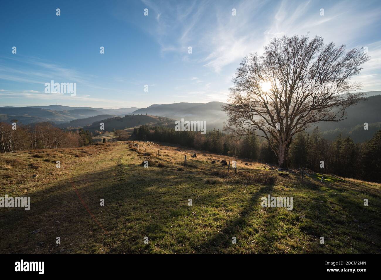 beautiful landscape in the southern black forest in germany, near the ...