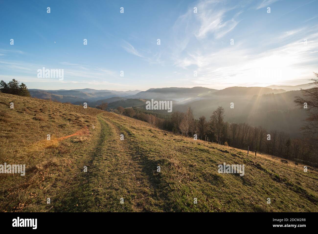 beautiful landscape in the southern black forest in germany, near the ...