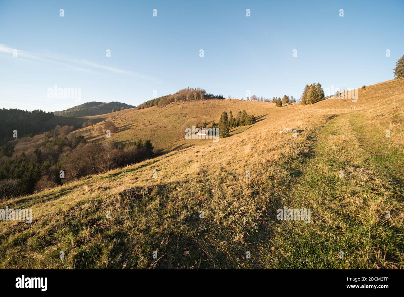 beautiful landscape in the southern black forest in germany, near the ...