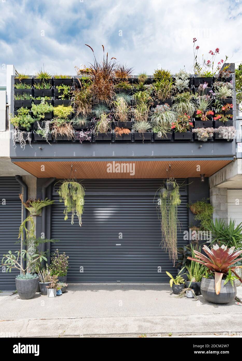 Pot plants and a vertical garden of succulent plants on a wall above a ...