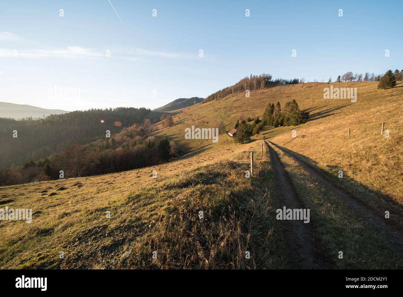beautiful landscape in the southern black forest in germany, near the ...