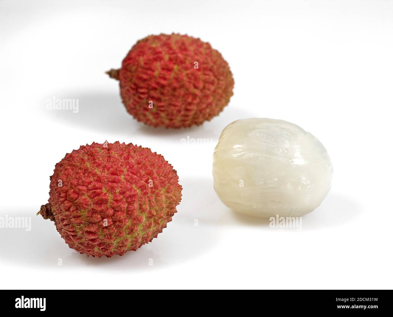 LITCHI OR LITCHEE litchi sinensis AGAINST WHITE BACKGROUND Stock Photo ...