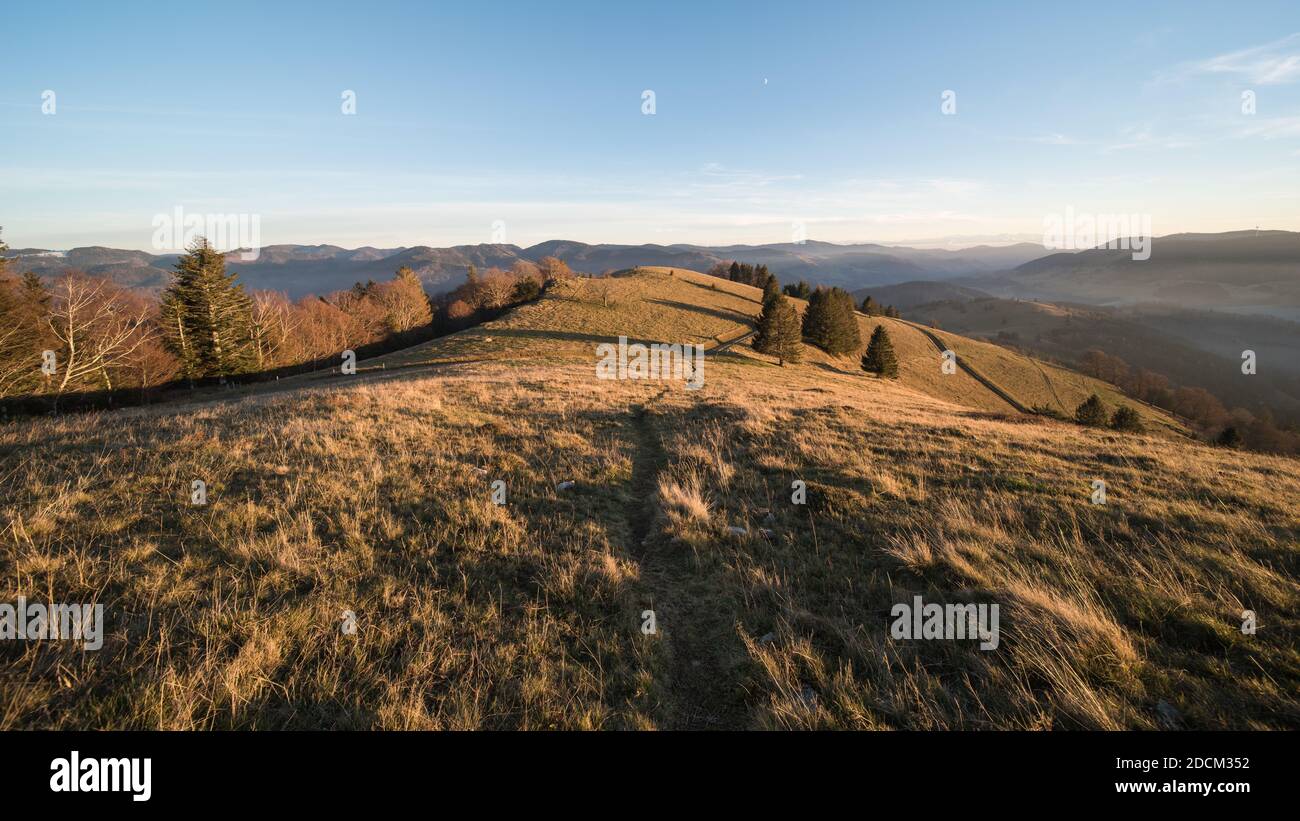 beautiful landscape in the southern black forest in germany, near the ...
