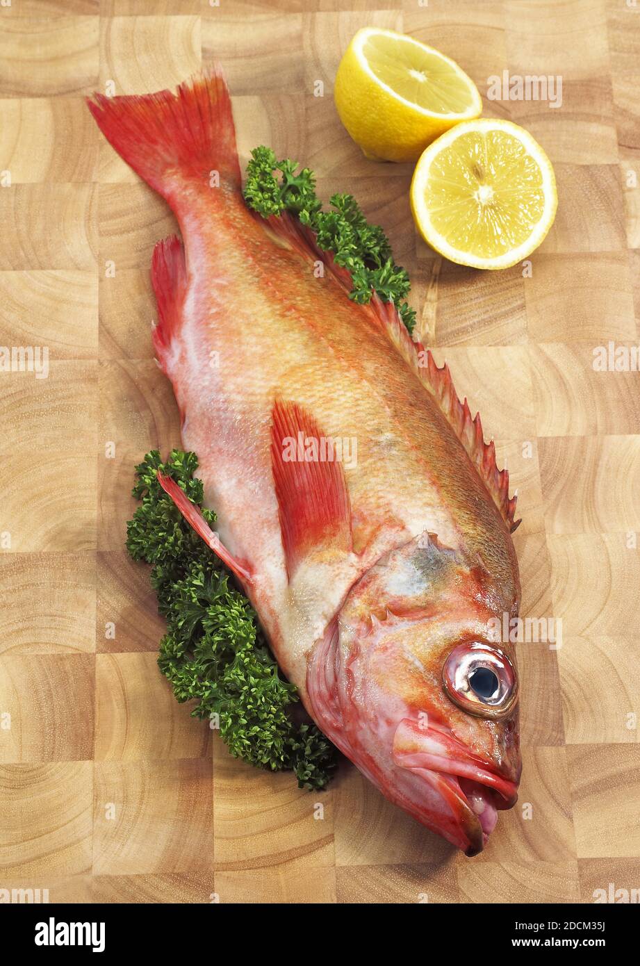 FRESH GROUPER WITH PARSLEY AND YELLOW LEMON AT A FISH STALL Stock Photo ...