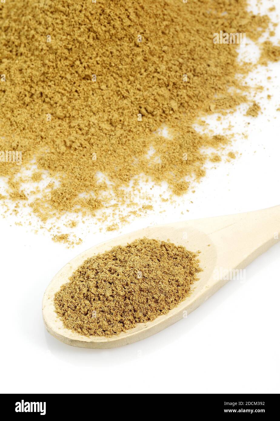 GINGER POWDER zingiber officinale Stock Photo - Alamy