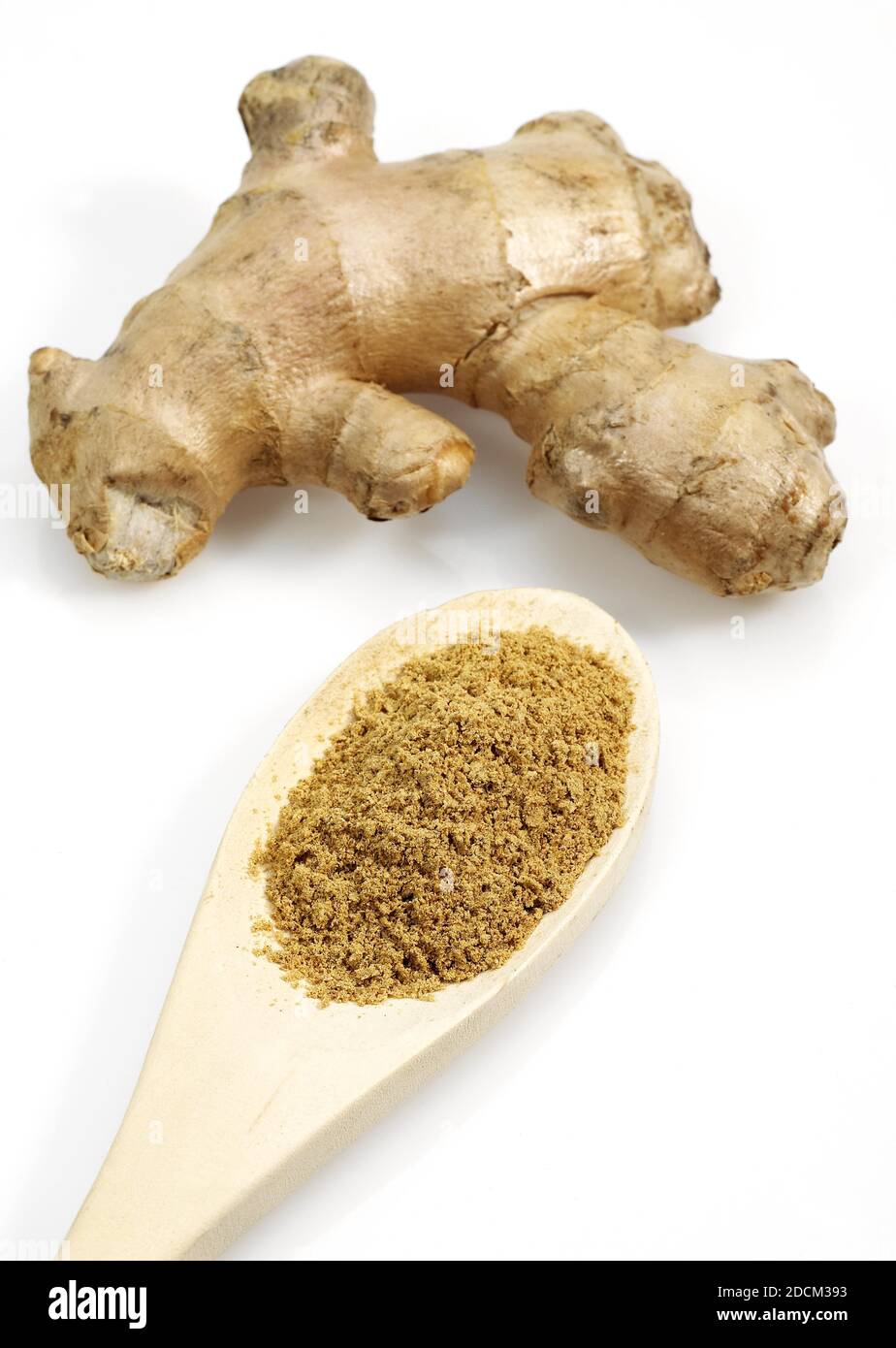 GINGER zingiber officinale, ROOT AND POWDER Stock Photo - Alamy