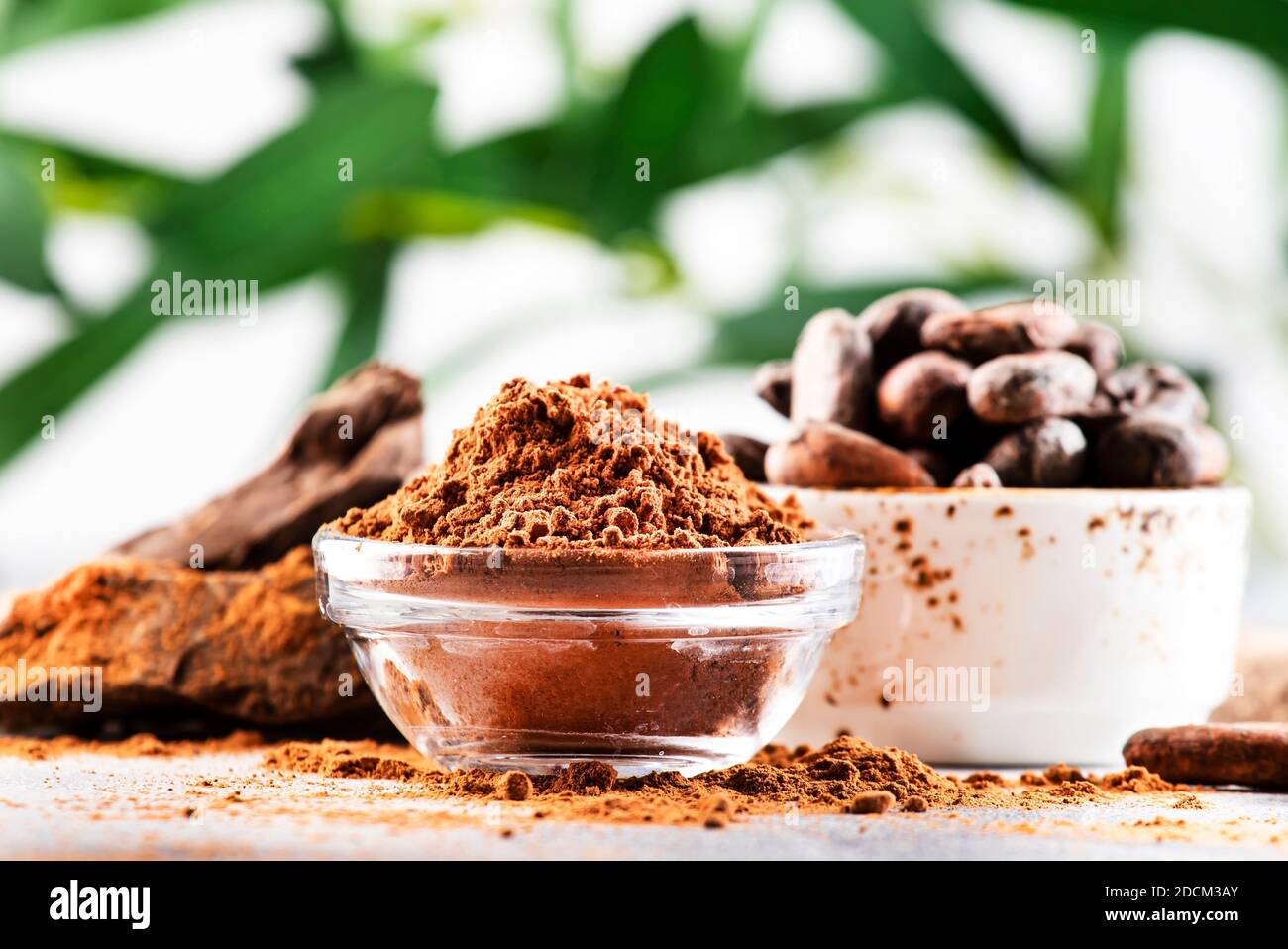 Organic cocoa powder, cocoa beans, grated cocoa lump on gray background ...