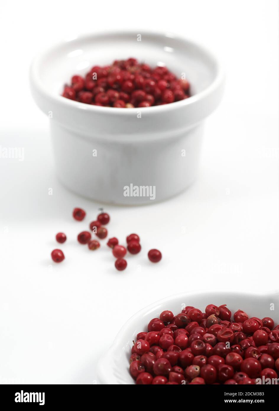 PINK PEPPER AGAINST WHITE BACKGROUND Stock Photo - Alamy
