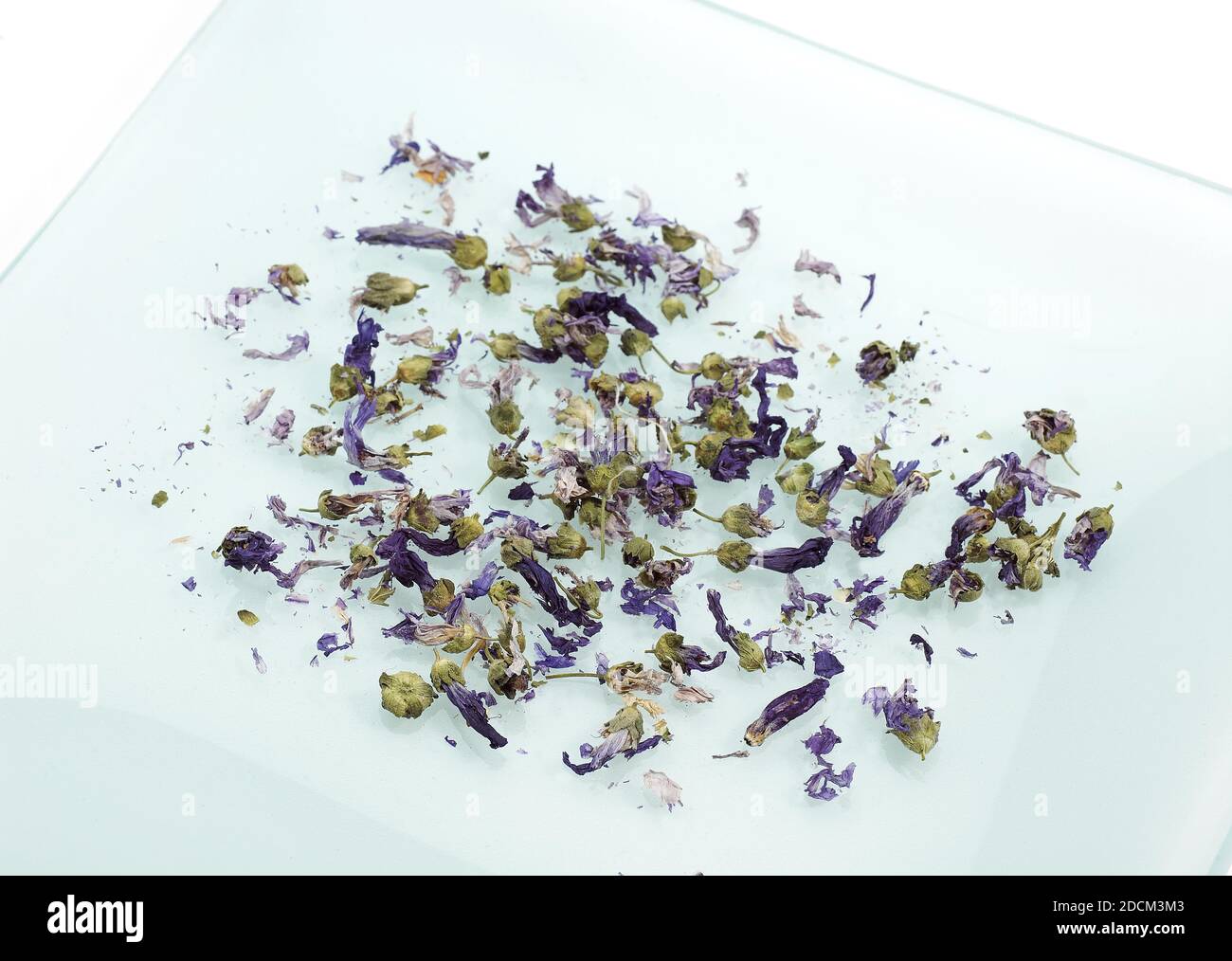 DRY MALLOW FLOWER FOR INFUSION Stock Photo - Alamy