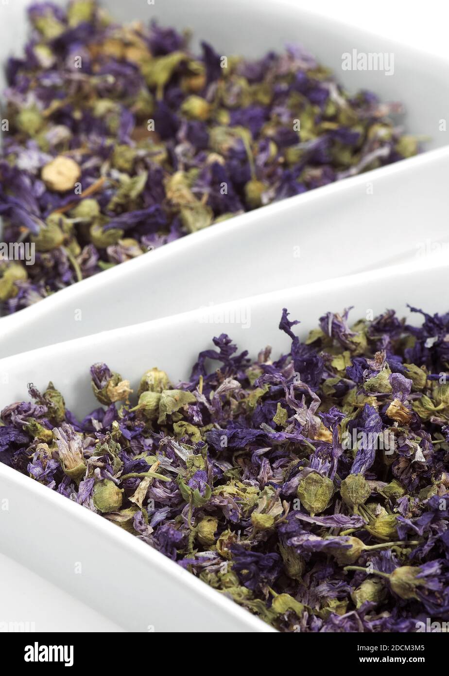 DRY MALLOW FLOWER FOR INFUSION Stock Photo - Alamy